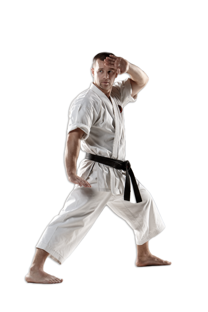 Ninjutsu e Kobudô - SEIGOKAN BRASÍLIA DOJÔ